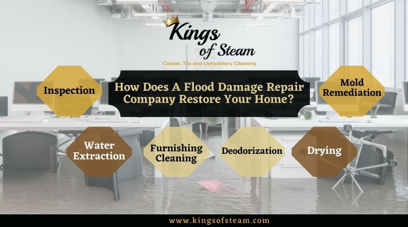 How Flood Damage Repair Company Helps | Castle Rock, CO